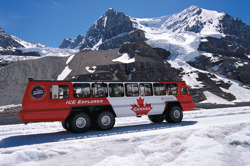 Highlights of Alberta & Rockies | 7-Day Tour